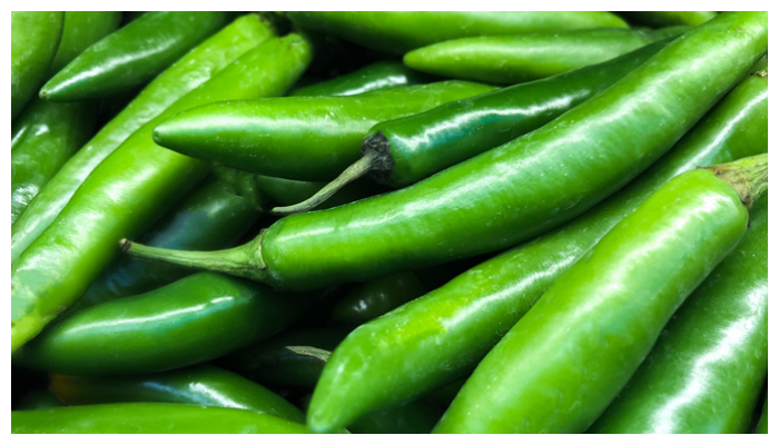 ചെടിച്ചട്ടിയിൽ സിംപിളായി പച്ചമുളക് വളർത്താം; ഇത്രയും ചെയ്താൽ മതി: To ...