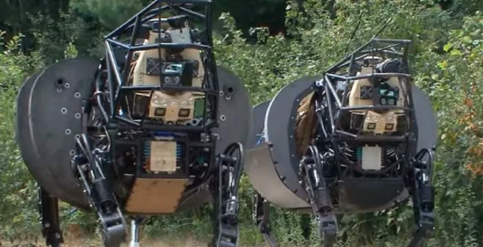 Robotic Mule: ಭಾರತೀಯ ಸೈನ್ಯ ಸೇರಿದ ಮೋಸ್ಟ್ ಡೇಂಜರಸ್ ರೋಬೋಟ್, ಪಾಕಿಸ್ತಾನಕ್ಕೆ ...