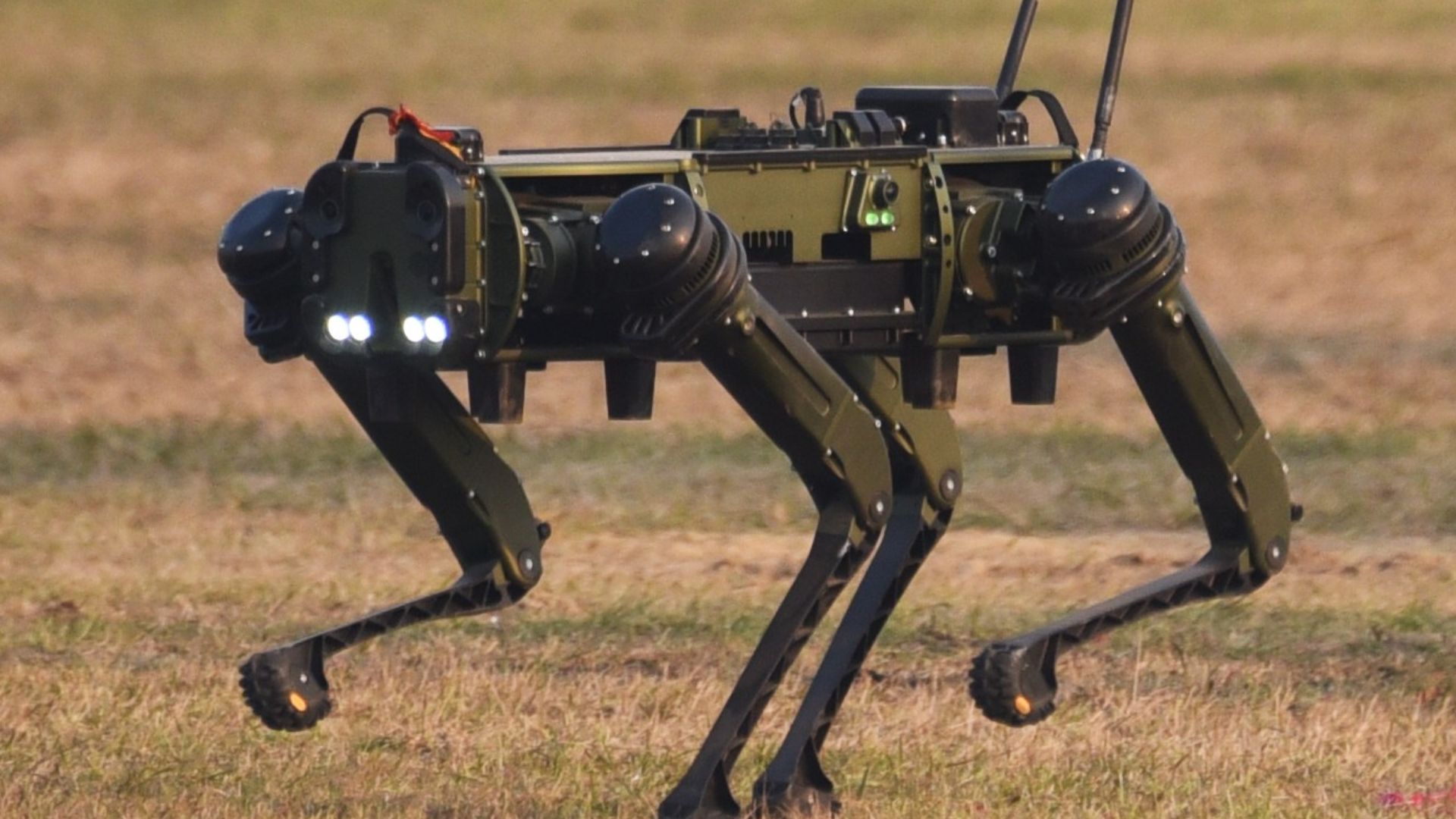 Robotic Mule: ಭಾರತೀಯ ಸೈನ್ಯ ಸೇರಿದ ಮೋಸ್ಟ್ ಡೇಂಜರಸ್ ರೋಬೋಟ್, ಪಾಕಿಸ್ತಾನಕ್ಕೆ ...