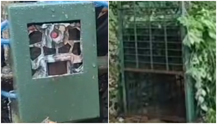 നാല് വയസുകാരിയെ പുലിപിടിച്ച പ്രദേശത്ത് ഇലകൾ കൊണ്ട് മറച്ച് കൂടും ...