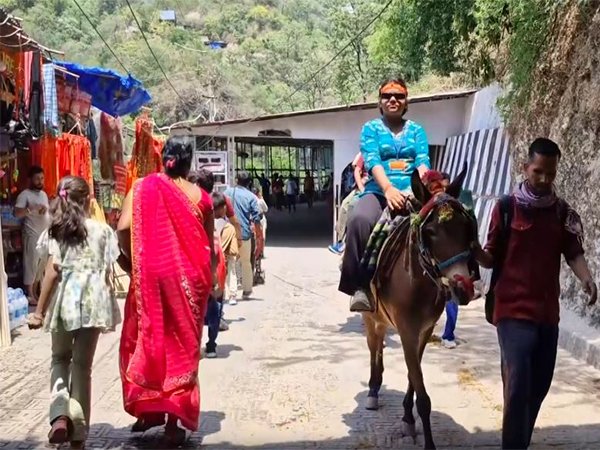 माता वैष्णो देवी यात्रा में लौटी रौनक, काम पर फिर से लौटे पालकी-पिठू ...