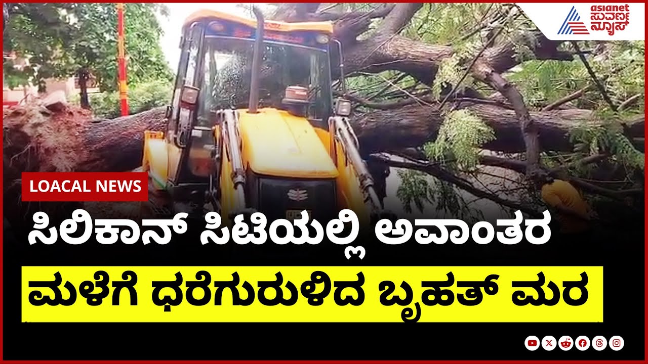 ಮಳೆಗೆ ಧರೆಗುರುಳಿದ ಬೃಹತ್ ಮರ | Giant Tree Falls Due To Heavy Rain ...