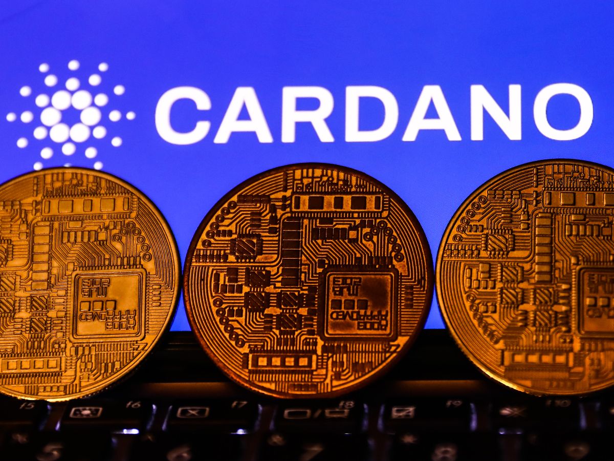 Cardano Gains On Plomin Hard Fork Approval, Binance Support: Retail ...